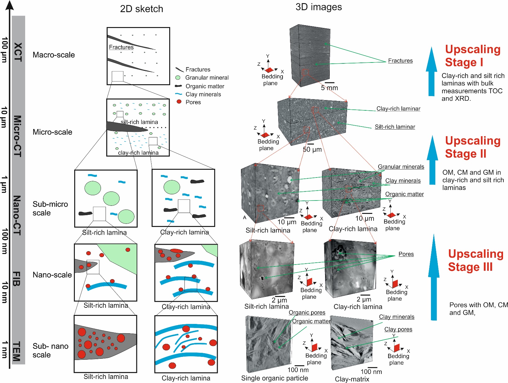 Contact: Lin.ma@manchester.ac.uk
