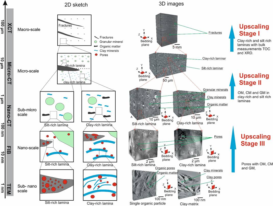 Contact: Lin.ma@manchester.ac.uk