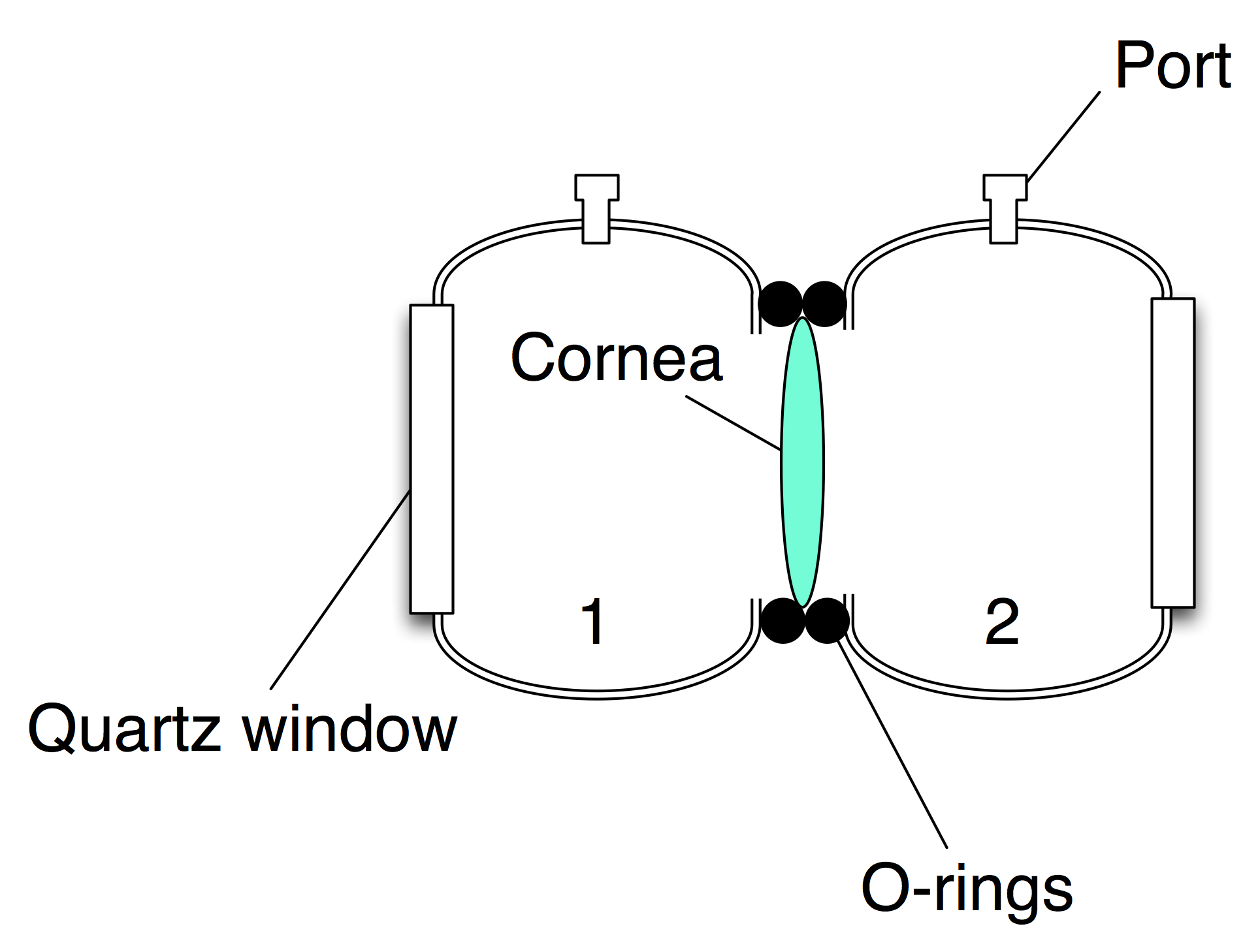 Pharmacology Teaching Material RJ Prince