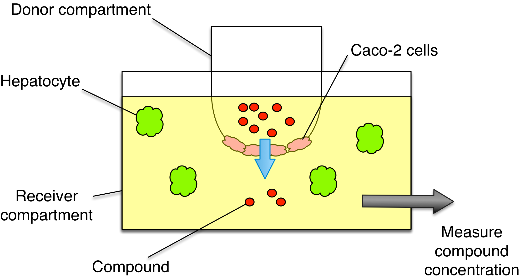 Pharmacology Teaching Material RJ Prince