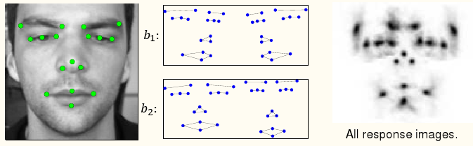 Constrained Local Models