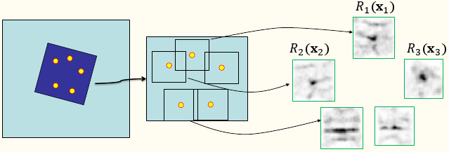 Constrained Local Models