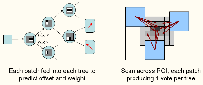 Constrained Local Models
