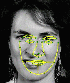 WIAU: Active Appearance Models