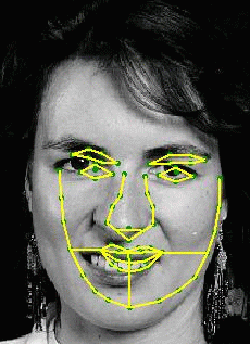 WIAU: Active Appearance Models