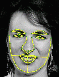 WIAU: Active Appearance Models