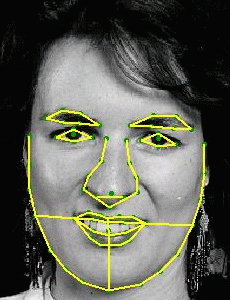 WIAU: Active Appearance Models